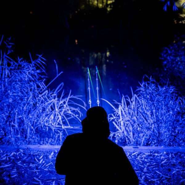 [New Release] Nash Powerbanx UV Lite Head Torch Or £50 CASH!!! – Carp ...
