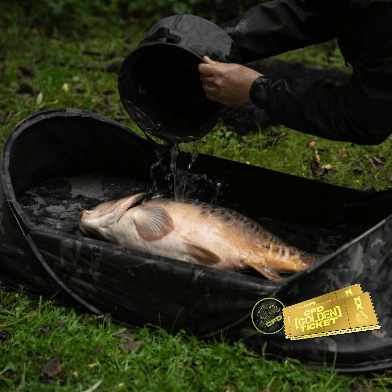 🎫 Nash Carp Care Pop Up Mat Camo or £80 cash!!! – Carp Fishing Draws