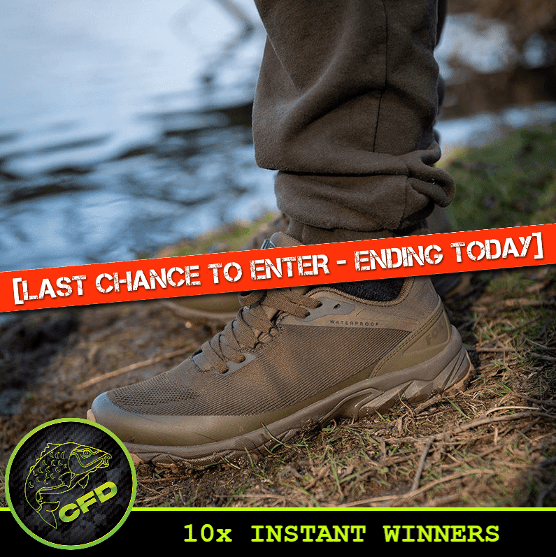 [New Release] Fox Explorer Trainers + Instant Winners! – Ending today ...