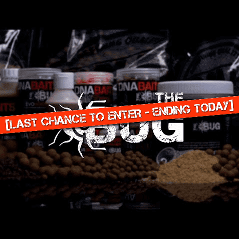 10Kg DNA Baits The Bug Bundle for 29p! – Ending today! – Carp Fishing Draws